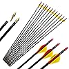 Linkboy Archery Carbon Arrow Hunting Practice Target Arrow with ...