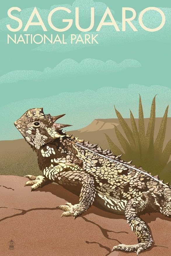 Saguaro National Park, Arizona - Horned Lizard - Lithograph (12x18 Art ...