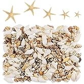 Amazon.com: 1200 PCS Tiny Sea Shells &10 Small Starfish - Mixed Ocean ...