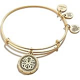 Amazon.com: Alex and Ani Women's Color Infusion Mermaid Charm Bangle Bracelet, Rafaelian Silver ...