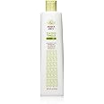 Amazon.com : Trader Joe's Tea Tree Tingle Conditioner with Peppermint and Eucalyptus (2 Pack ...
