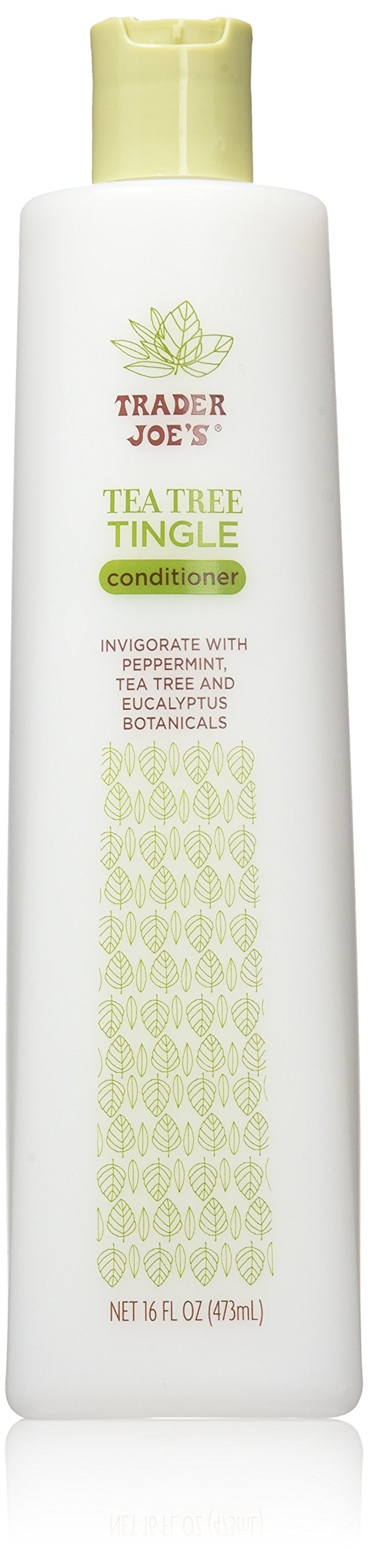 Amazon.com: Trader Joe's Tea Tree Tingle Shampoo with Peppermint, Tea Tree and Eucalyptus ...