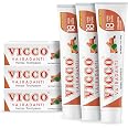 Amazon.com: Vicco Vajradanti Herbal Toothpaste Cinnamon Flavour-Natural ...