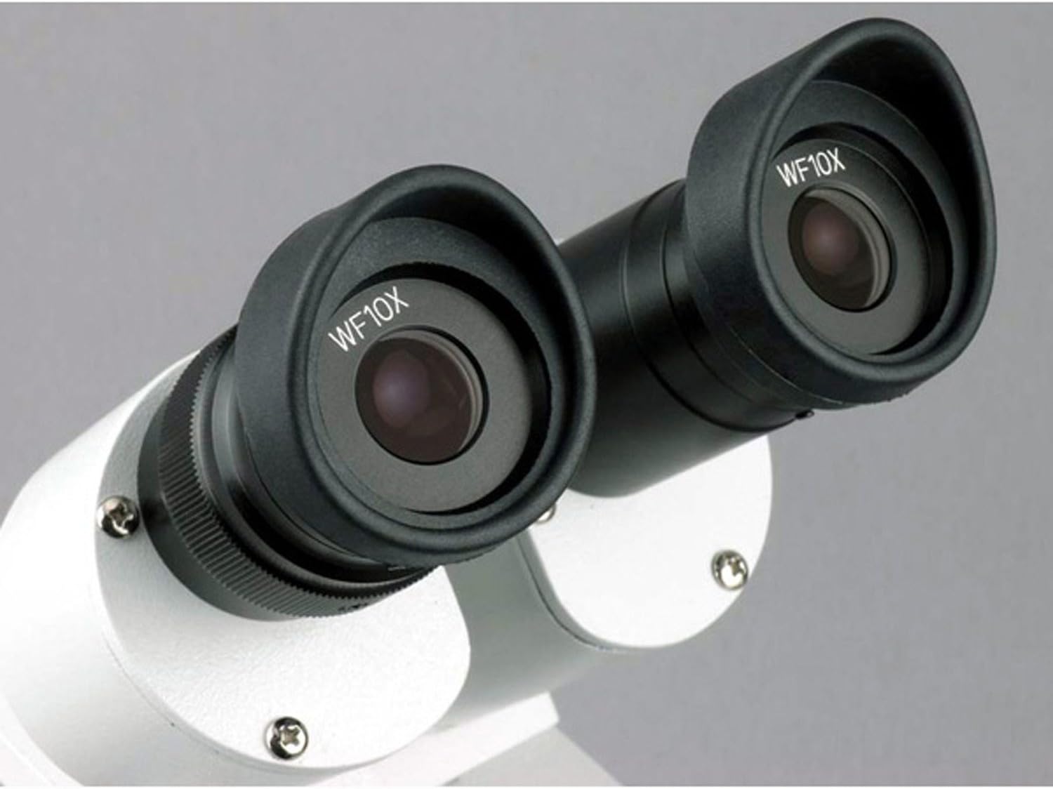 Upper and Lower Halogen Lighting 5X/10X/15X/30X Magnification 1X and 3X ...