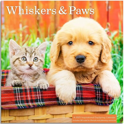 Whiskers & Paws: A 2025 Inspirational DaySpring Mini Wall Calendar in ...