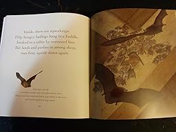 Bat Loves the Night: Read and Wonder: Nicola Davies, Sarah Fox-Davies ...