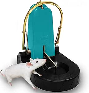 Amazon.com : Kat Sense XXL Rat Traps, Not All Rodent Traps are Created ...