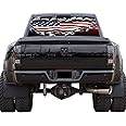 Amazon.com - GRAPHIX EXPRESS Truck Rear Window Graphics (P469 American ...