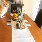 Panache Eclat Tasselled Table Runner Cream: Amazon.co.uk: Kitchen & Home