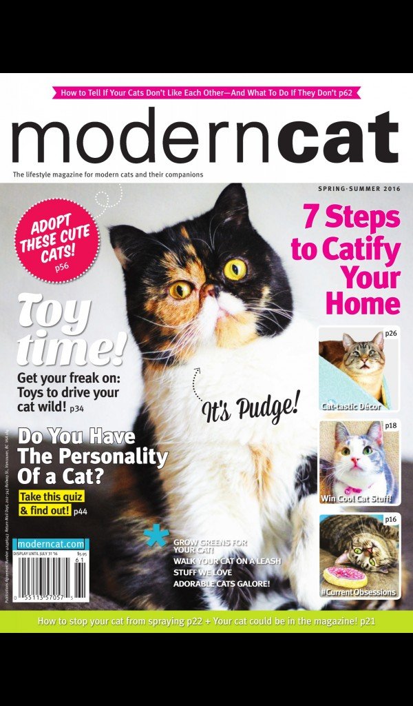 Modern Cat Magazine:Amazon.co.uk:Appstore for Android