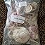 Amazon.com: Sea Shells Mixed Beach Seashells - Various Sizes up to 2 ...