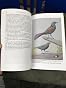 The Burgess Bird Book for Children: Burgess, Thornton: 9781925729245 ...