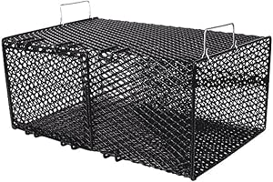 Amazon.com : Frabill Rectangular Pinfish Trap | Vinyl Dipped Steel Mesh ...
