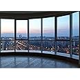 Amazon.com : DULUDA 7x5 FT Office Backdrop Window City Backdrop Podcast ...