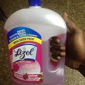 Lizol Disinfectant Floor Cleaner Floral, 2 L: Amazon.in: Health ...