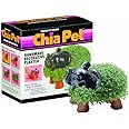 Amazon.com: Chia Pet "Weird Al" Yankovic with Seed Pack, Decorative ...