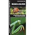 Bugs & Slugs: A Folding Pocket Guide to Familiar North American ...