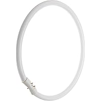 Bulbrite FC12T5 835 40-Watt Circline Fluorescent T5 Bulb, 800 Series ...