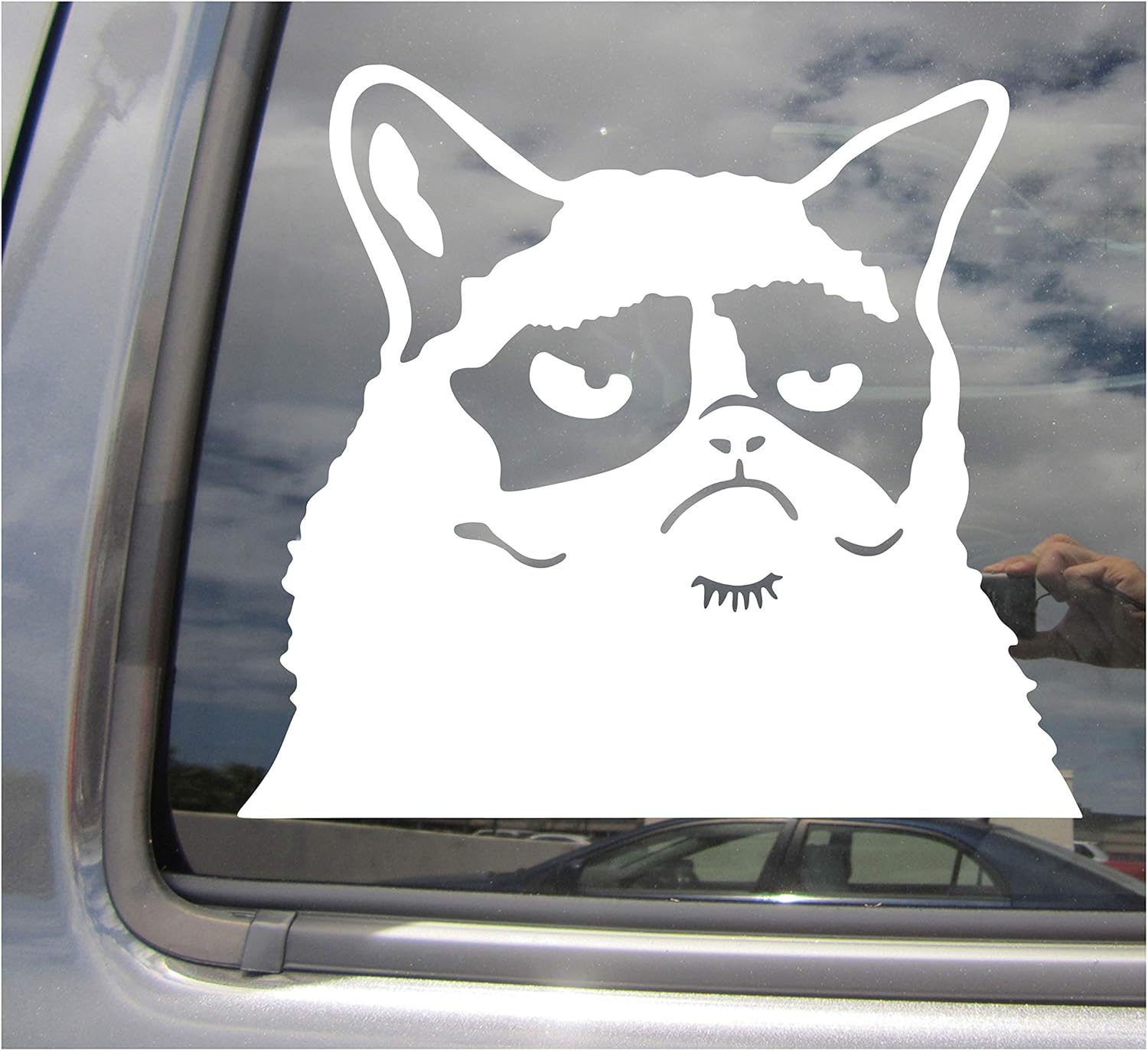 Amazon.com: Right Now Decals Angry Grumpy Cat - Funny Humor Mad - Cars ...