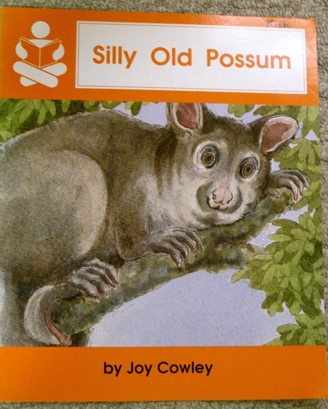 Amazon.com : Silly Old Possum STORY BOX BIG BOOK 17" X 14" BY JOY ...