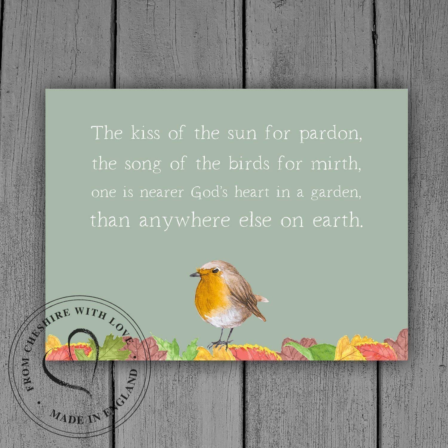 Inspirational Robin Bird Quotes at Alexander Silva blog