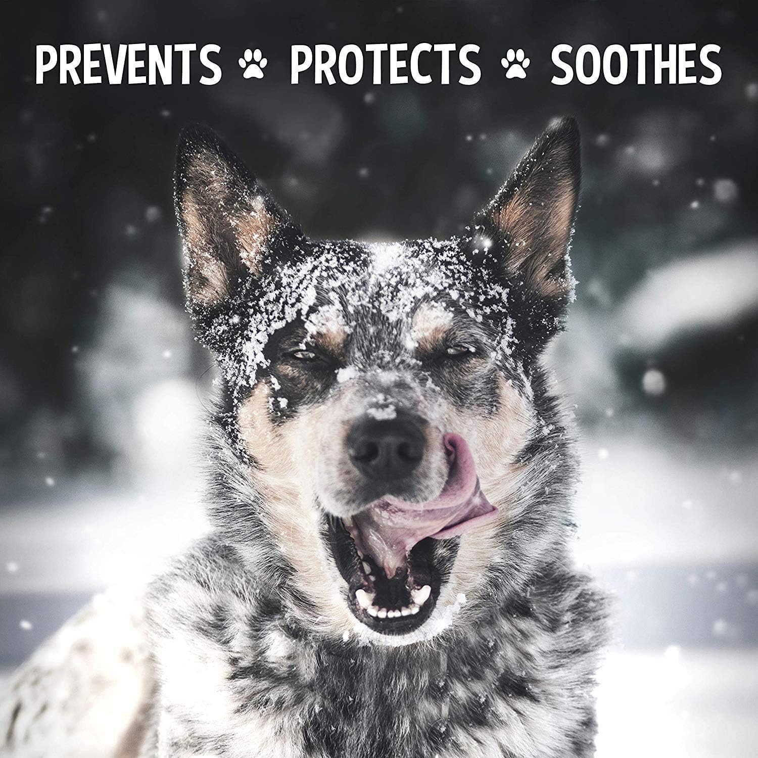 Musher’s Secret Paw Protection Wax, Dog Paw Balm Or Nose Balm, Ideal ...
