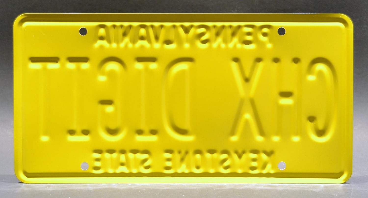 License Plate Covers & Frames The Goldbergs Marvin’s DeLorean Metal ...