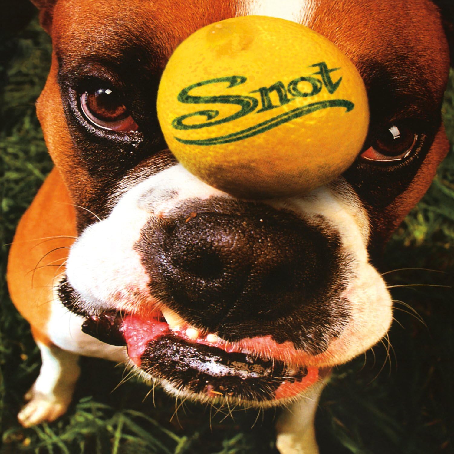Get Some (Vinyl): Snot, Snot, Snot: Amazon.ca: Music