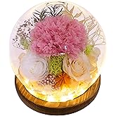 Amazon.com: Valley of Rain & Forest Long-Lasting Real Flowers, Unique ...