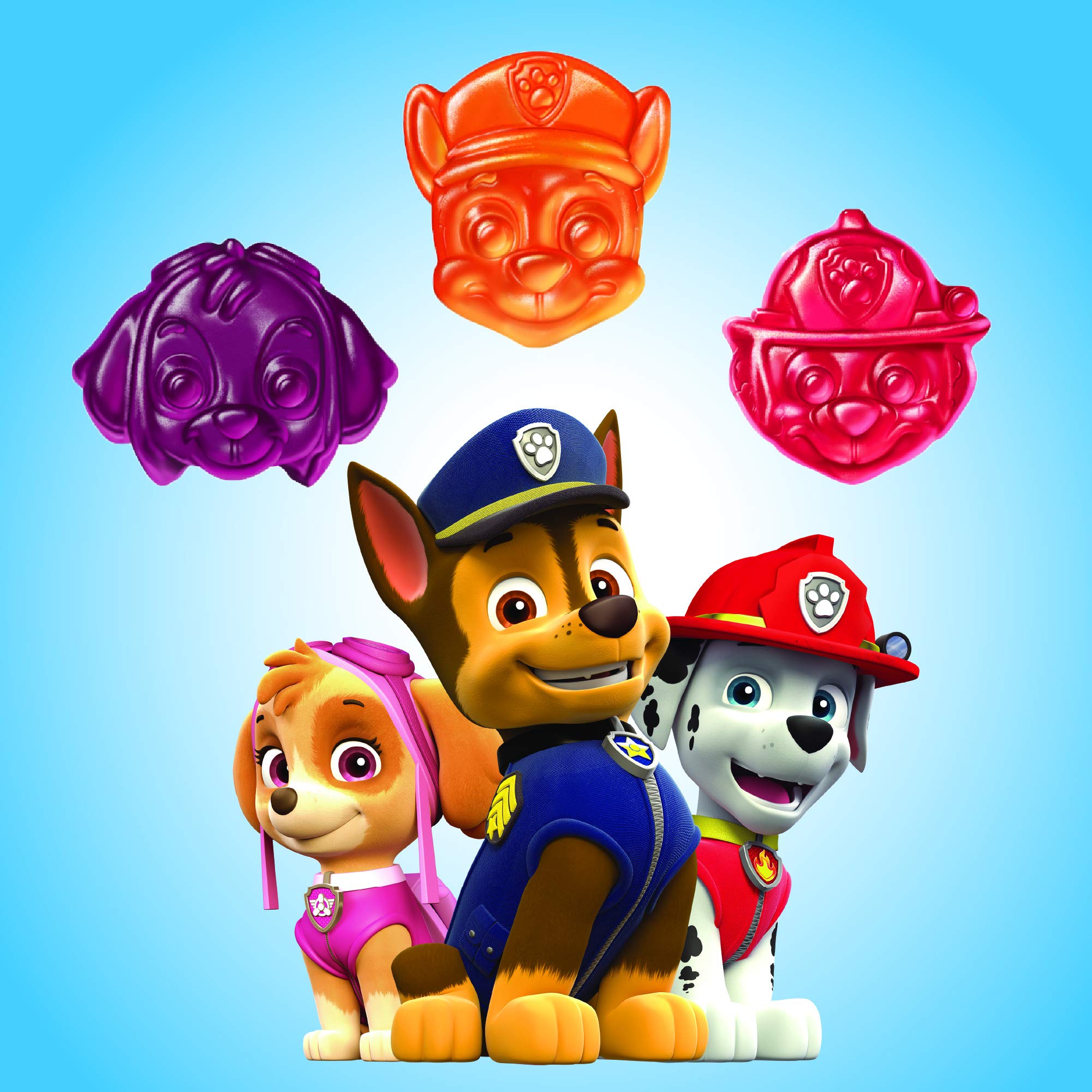 Mua L’il Critters Paw Patrol Gummy Vites Daily Gummy Multivitamin for ...