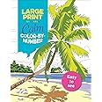 Amazon.com: Large Print Calm Color-by-Number: 9781645174042: Editors of ...