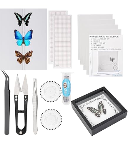 Entomology Display Tool Hardwood Insect Pinning Block With 5 Different ...