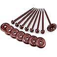 Amazon.com: Camp'N RV Outdoor Rug Stakes 8-Pack - High Impact ABS with ...