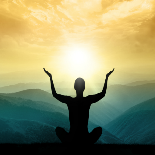 Zen TV:Amazon.co.uk:Appstore for Android