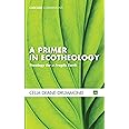 A Primer in Ecotheology: Theology for a Fragile Earth (Cascade ...