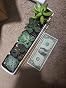 Amazon.com : FLOWERPLUS Planter Pot Indoor, 11 Inch Long Rectangle ...