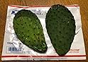 Amazon.com : 4 Spineless Prickly Pear Cactus Cuttings - No Thorns or ...