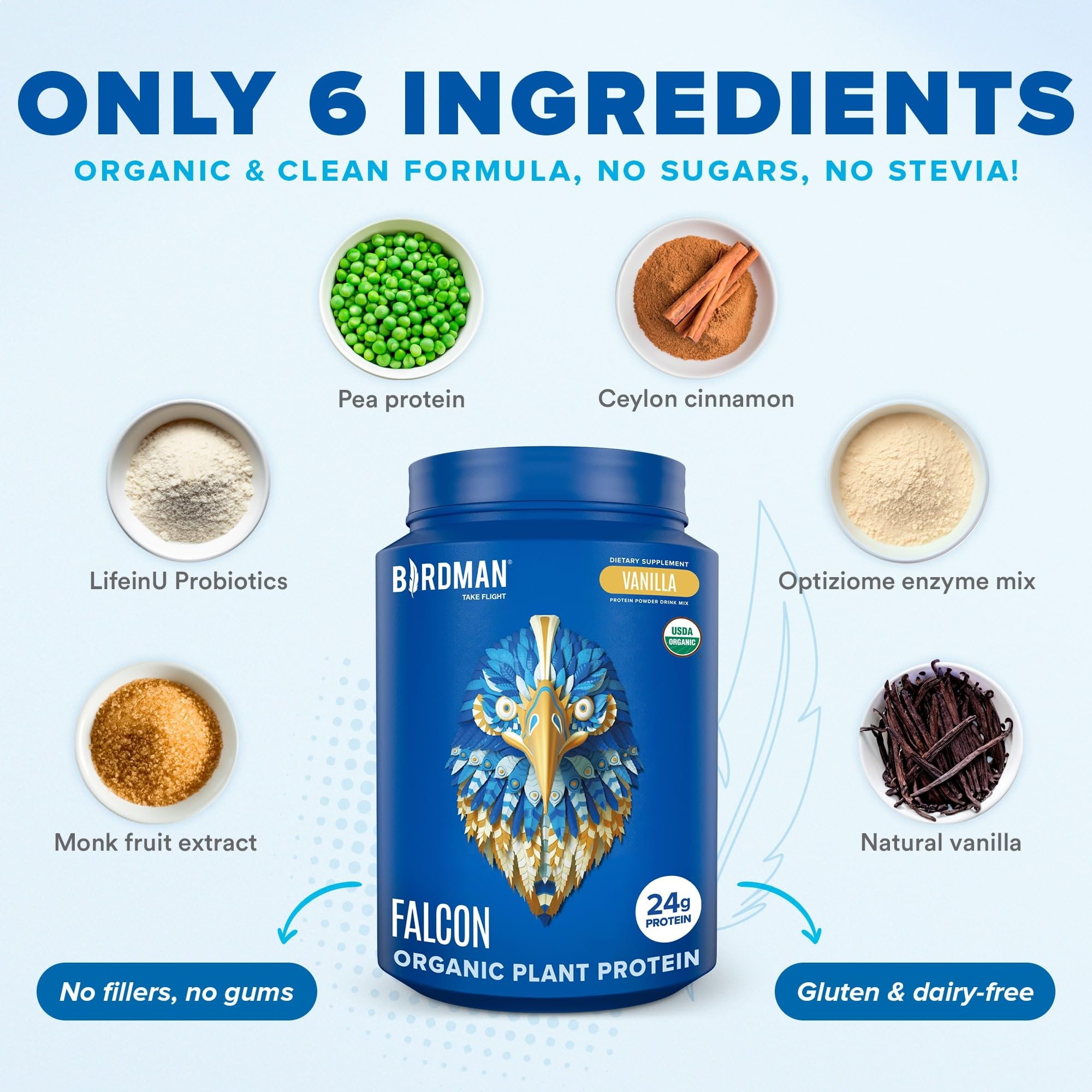 Mua BIRDMAN Falcon Vegan Protein Powder Organic, Stevia & Sugar Free ...