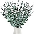 Amazon.com: Palonu 30 Pcs Artificial Eucalyptus Stems Fake Greenery ...