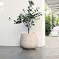 Amazon.com : LuxenHome Distressed Tan Tapered Round Planter Handmade 15 ...