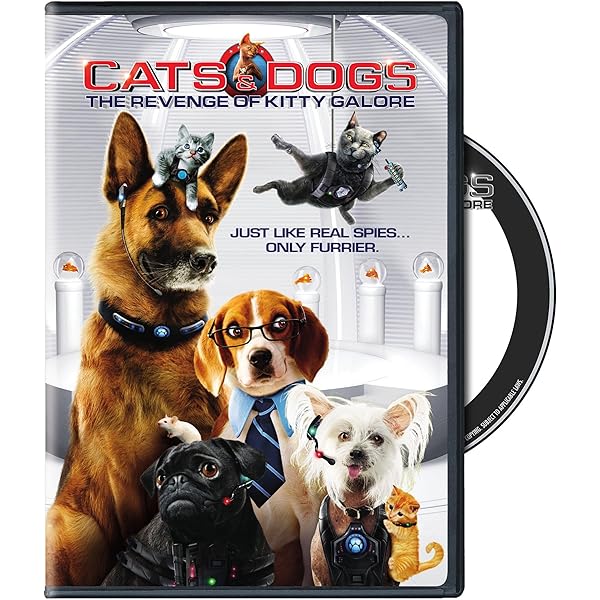 013778 レンタルUP DVD ペット 3398 ※ケース無｜DVD