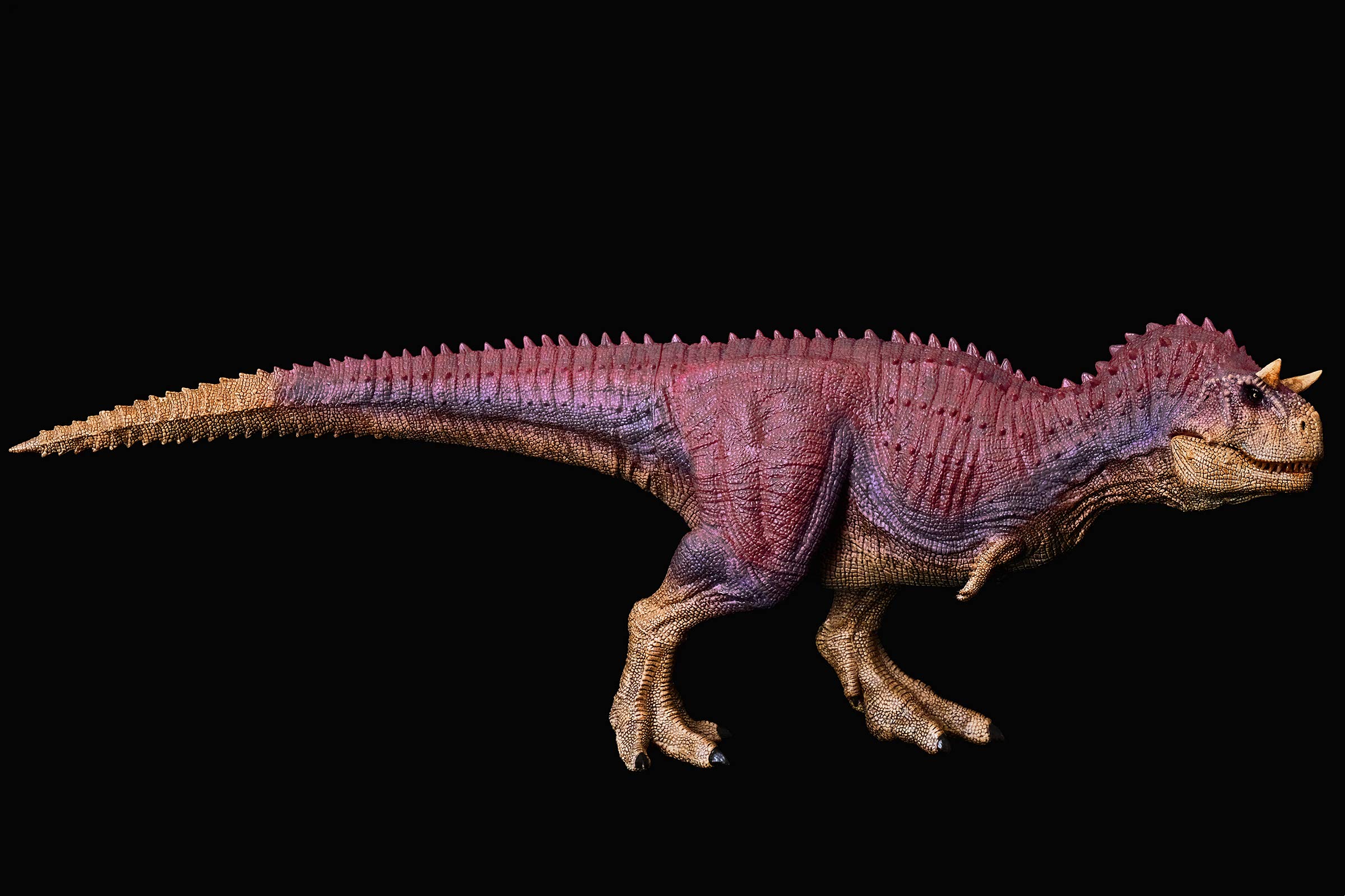 Mua Rebor Carnotaurus Ekrixinatosaurus Dinosaurus Dinosaurus ...