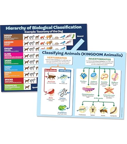 Classification Of Living Organisms Science Posters