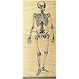 Amazon.com: P19 Large Skeleton Rubber Stamp WM : Arts, Crafts & Sewing