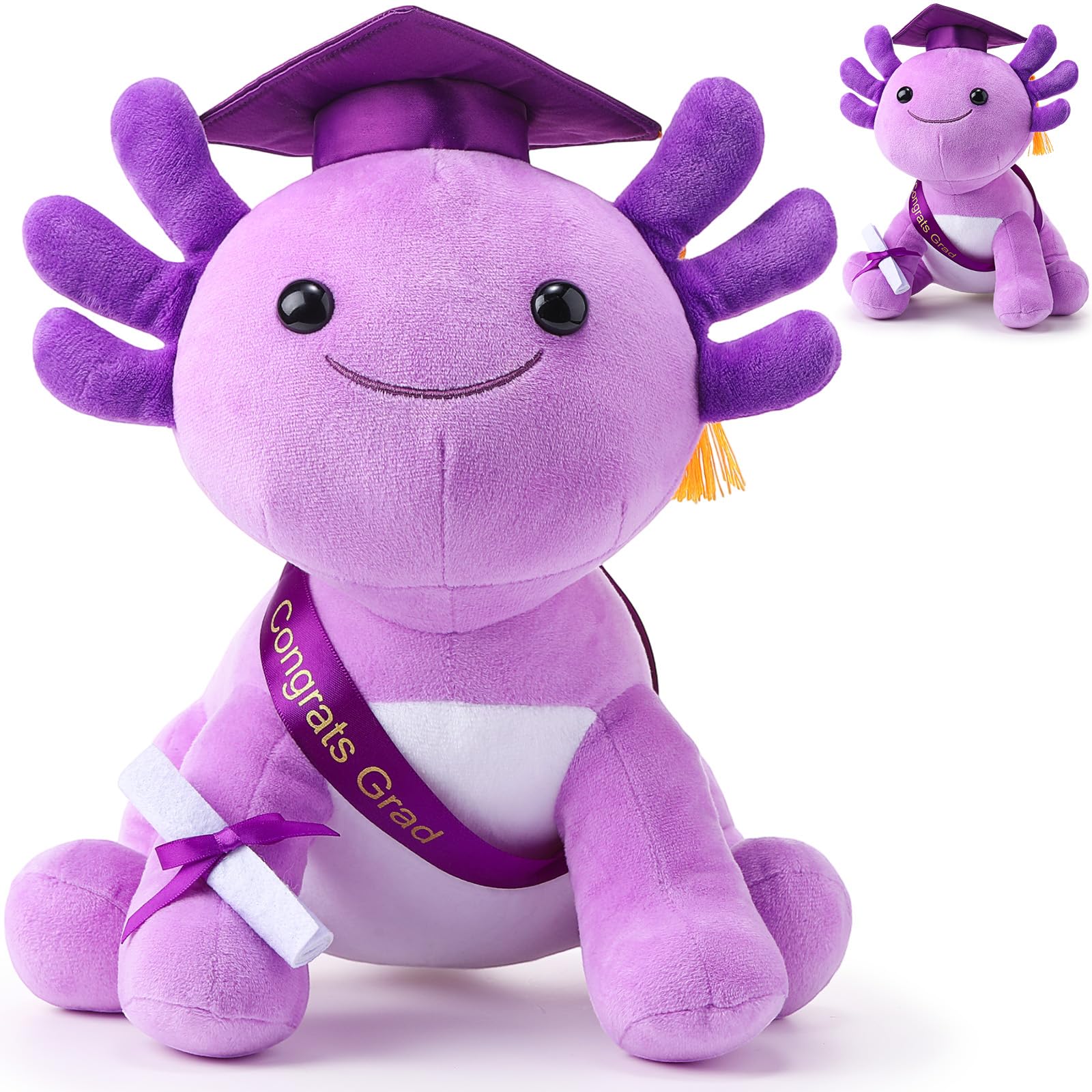 HyDren 10 Inch Graduation Axolotl Plush Stuffed Animal Axolotl Stuffed ...