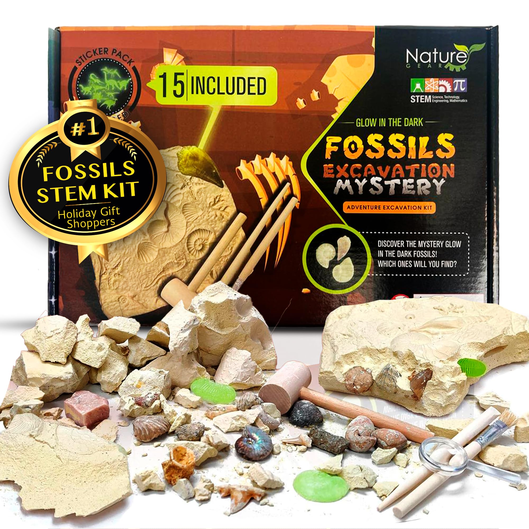Mua Dino Fossil Dig Kit for Kids 4-12 Discover Learn with Interactive ...