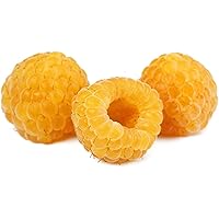 Amazon.com : Anne Golden Raspberry Plants-Bare Root Canes–Sweet ...