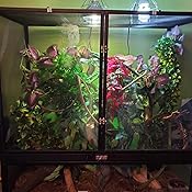 Amazon.com : Exo Terra Screen Terrarium, Large : Pet Supplies