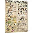 Amazon.com: HYBLOM Fun Rabbit Knowledge Metal Sign - Breeds & Anatomy ...