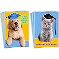 Amazon.com: Hallmark Grade School Graduation Cards for Kids (6 Cards ...